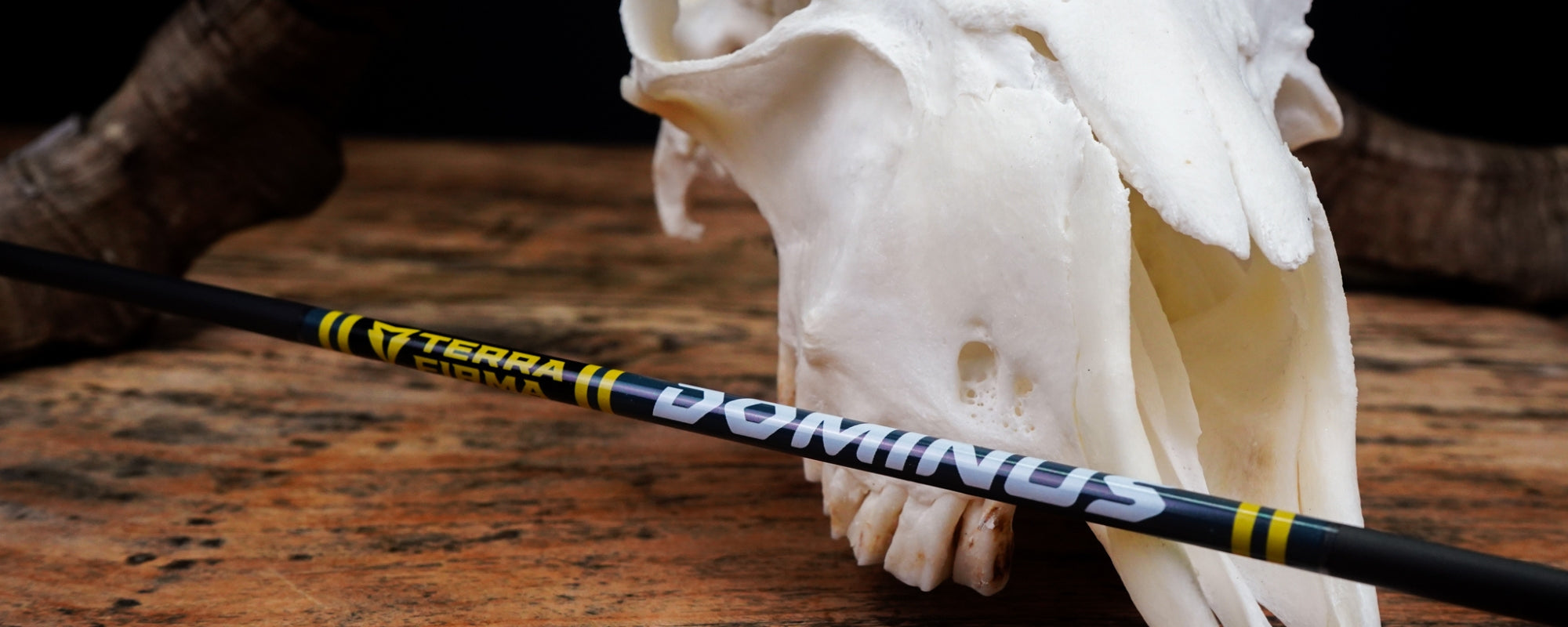 Terra Firma Archery Arrows and Broadhead experts best carbon steel