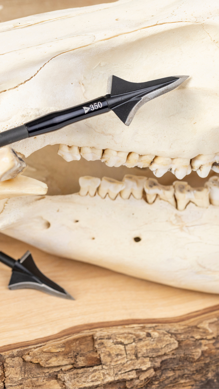 Terra Firma Archery Arrows and Broadhead experts best carbon steel